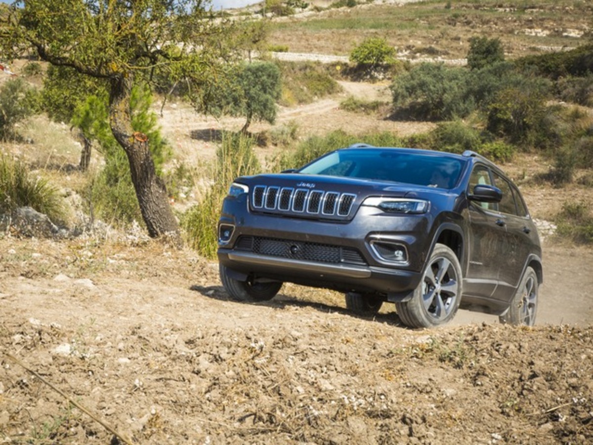 Jeep Cherokee 2.2 Mjt AWD Active Drive I Longitude: prezzo e scheda ...