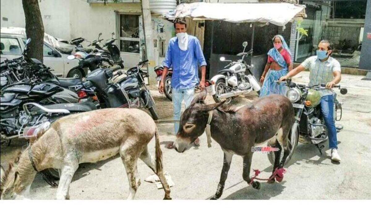 La "Donkey protest" indiana - News - Moto.it