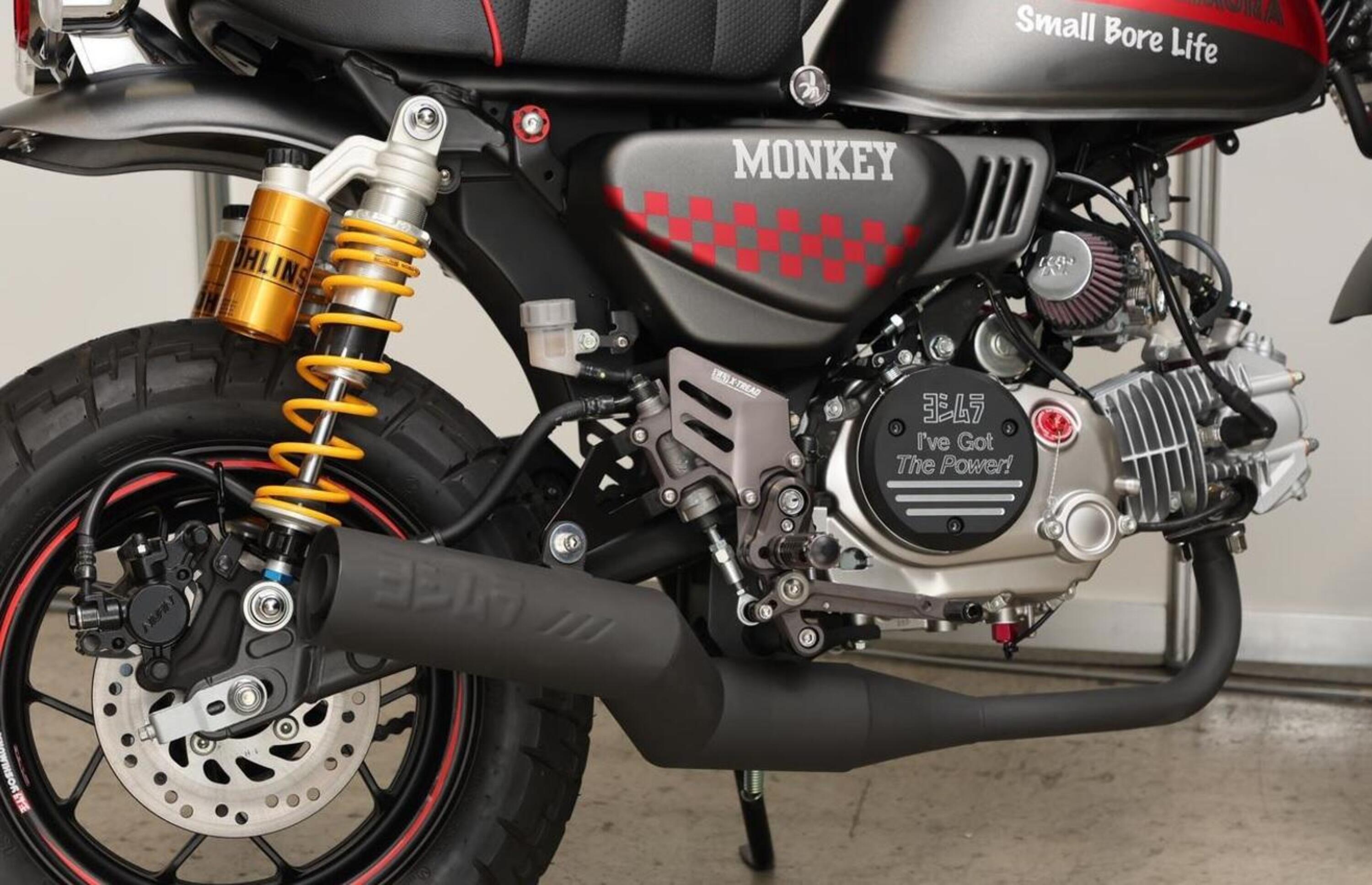 Honda Monkey Yoshimura, piccolo ma grintoso - News - Moto.it