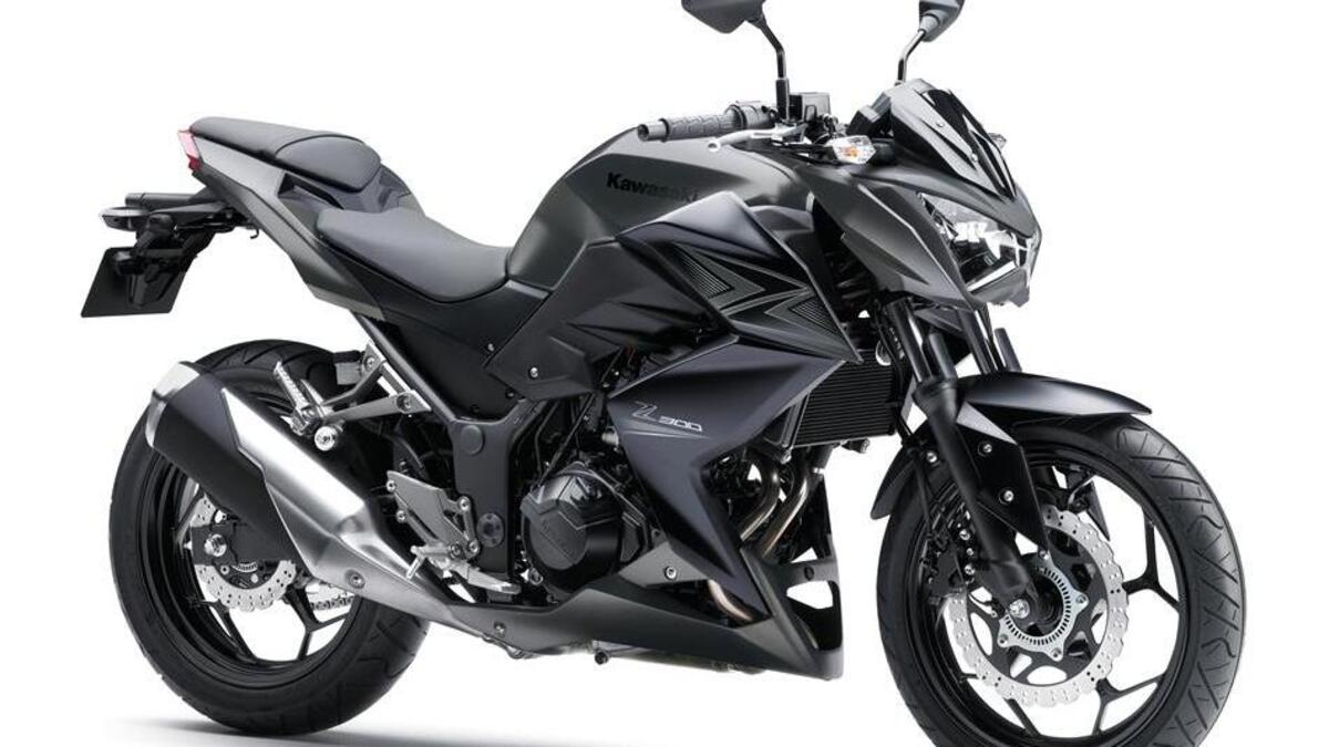 Kawasaki Z 300 ABS (2015 - 16), prezzo e scheda tecnica - Moto.it