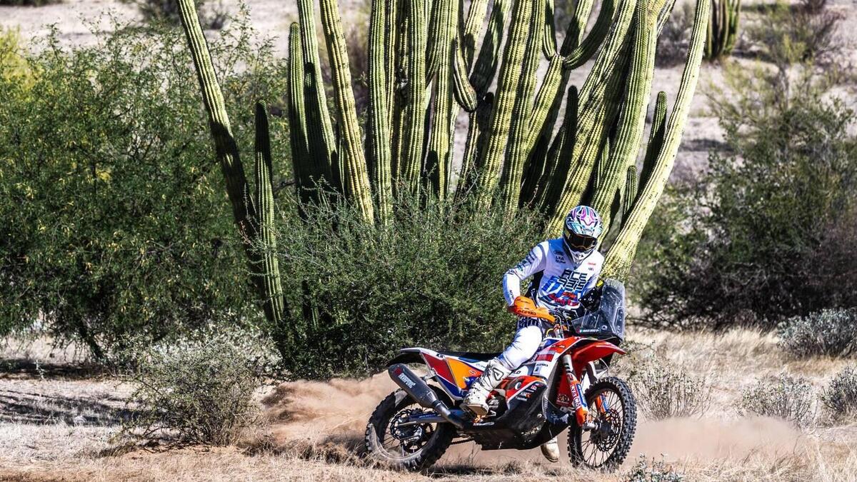 Rally-Raid. Sonora Rally 2023. Il Mondiale Vola in Messico - Dakar ...