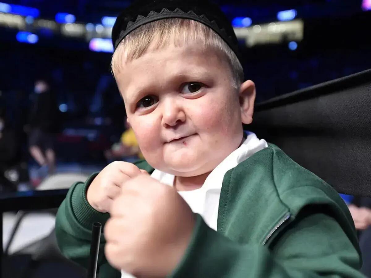 Hasbulla, la star del web arrestata per violazione del Codice della ...