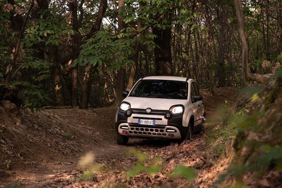 Fiat Panda 4x4, il ritorno. Ma col motore non ci siamo... - News ...