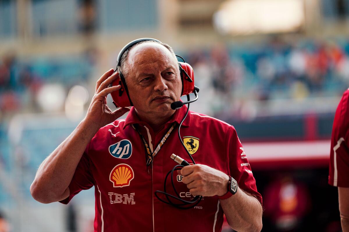 F1. GP Bahrain, Vasseur: "Crediamo nel podio. Dobbiamo essere ambiziosi ...