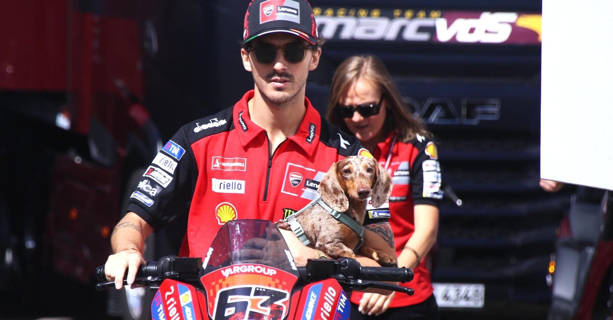 MotoGP 2025. GP di San Marino. Pecco Bagnaia insieme al cane Turbo: "Obiettivo per Misano? Top 5 ...