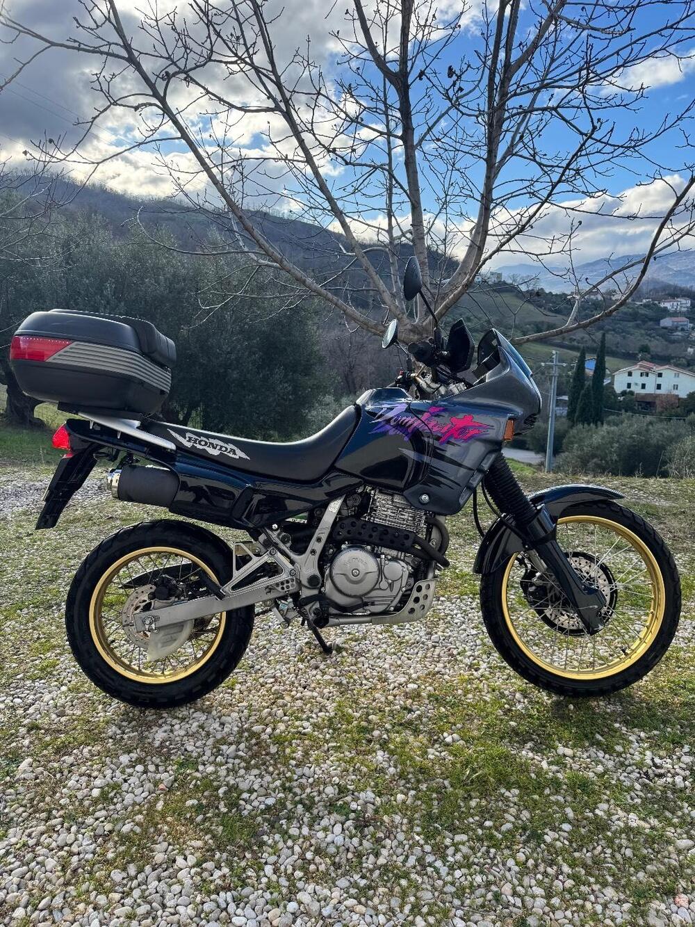 Vendo Honda NX 650 Dominator (1991 - 95) usata a Teramo (codice 9923390 ...