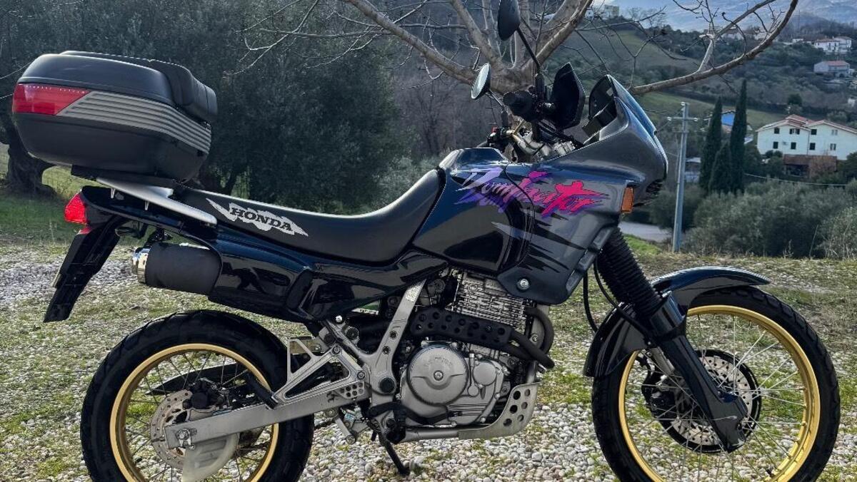 Vendo Honda NX 650 Dominator (1991 - 95) usata a Teramo (codice 9923390 ...